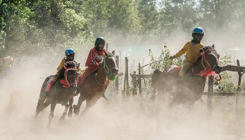 THE BIMA HORSE RACING IS EXPECTED TO BECOME A NATIONAL-SCALE EVENT
