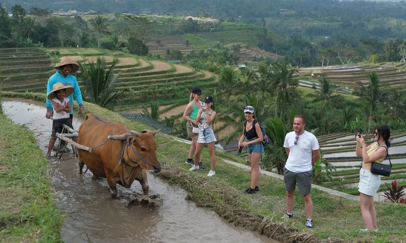 PRESERVING BALI’s SUBAK SYSTEM VITAL AMID CHALLENGES: MINISTER