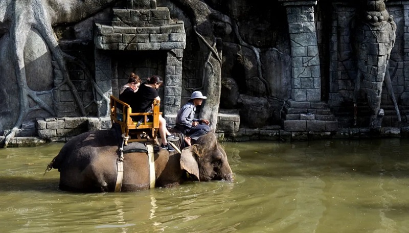 BALI WARNS CONSERVATION CENTERS OVER ELEPHANT RIDING PROGRAMS BAN